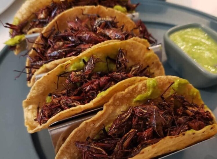 Qué preparar con Quelites Receta autóctona y típica