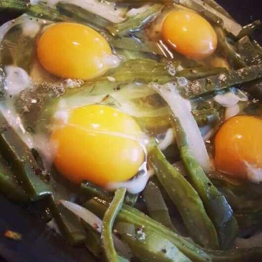 Receta de Nopales con huevos - Recetas de México